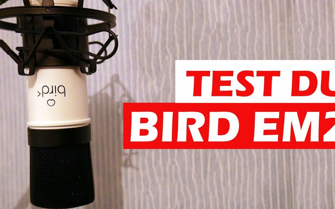 43% de réduction sur le Bird EM2 sur Woodbrass : un micro de studio ...